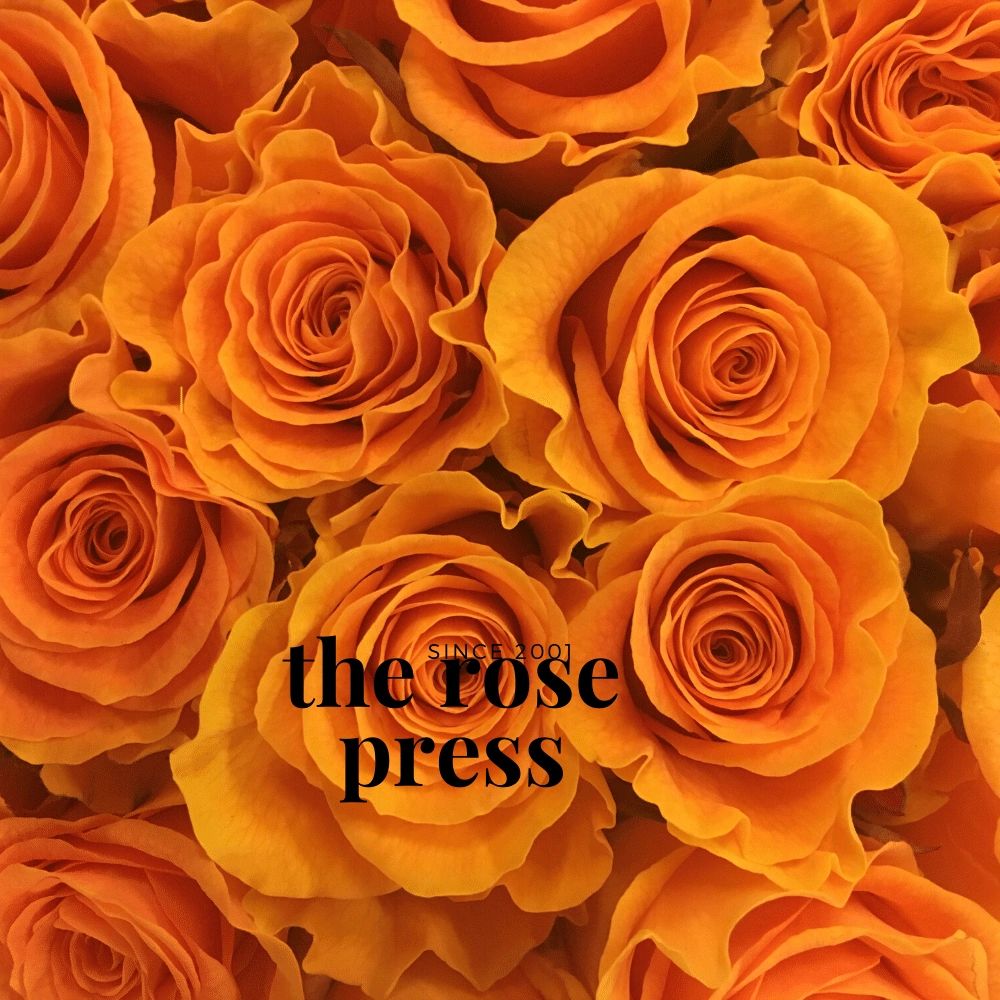 Pandora Dylan Gorman - Author, American Authors, American Writer